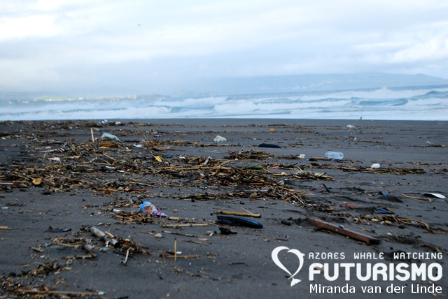 Cleaning up our oceans - Azores Whales