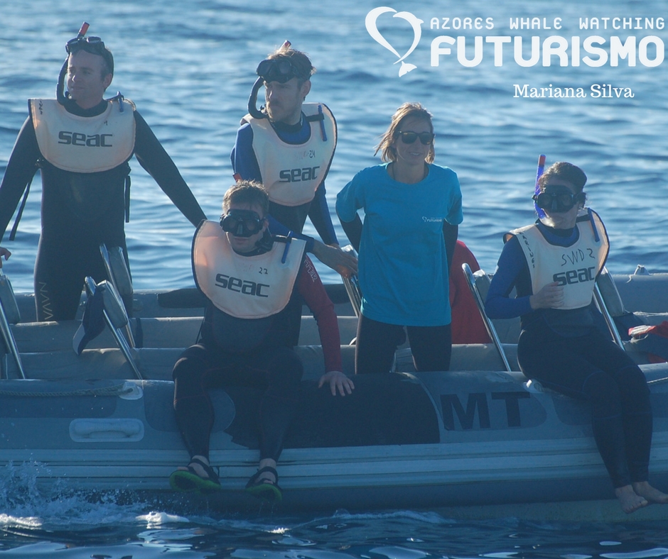 Summer sun, autumn sea and winter cold - Azores Whales