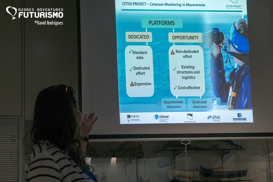 A cetacean monitoring program in the Macaronesia: Cetus Project ...