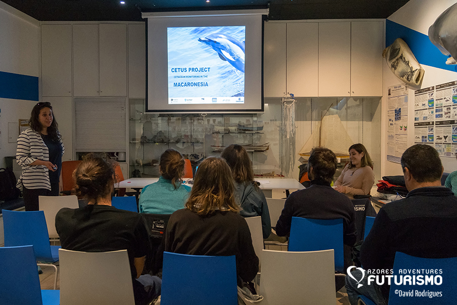 A cetacean monitoring program in the Macaronesia: Cetus Project ...