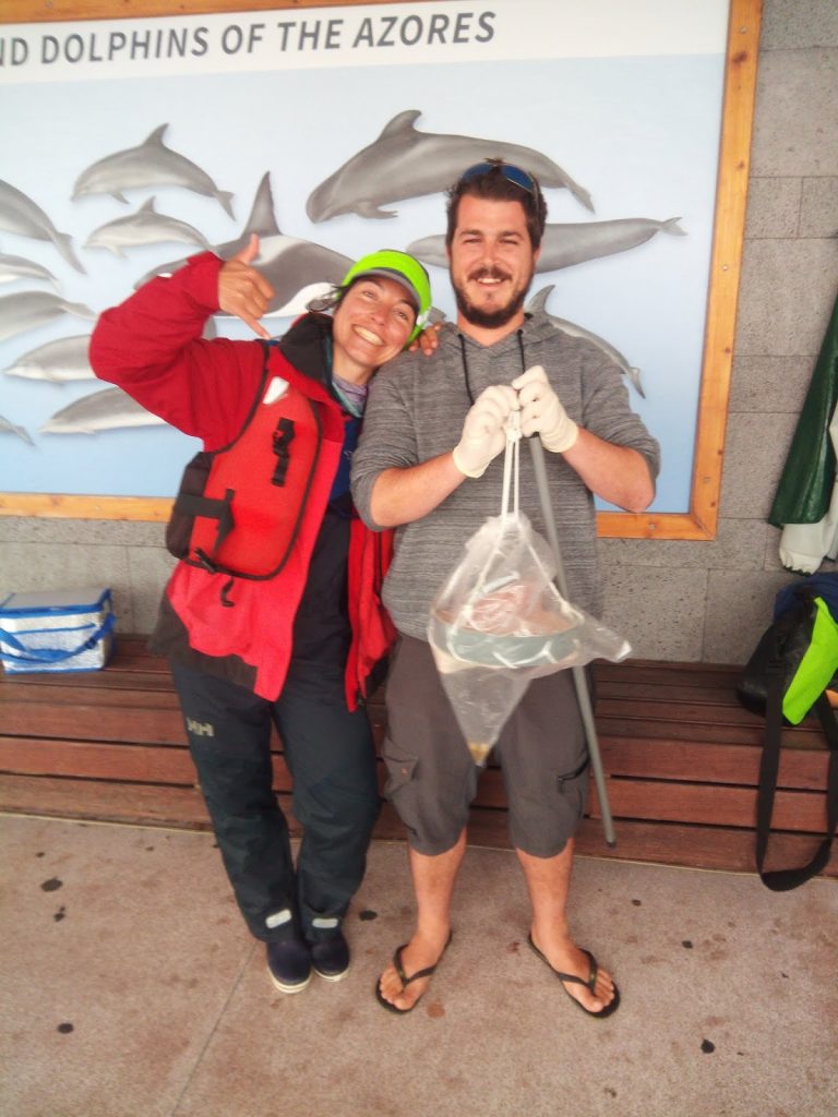 Blue whales in sight and new research about fin whale faeces - Azores ...